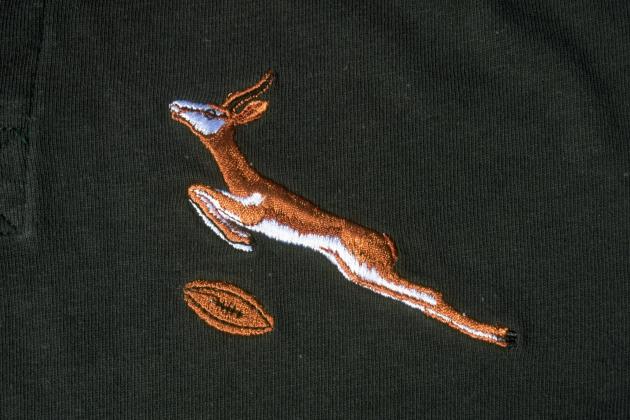 Springbok Logo Protea Springbok Logo Protea